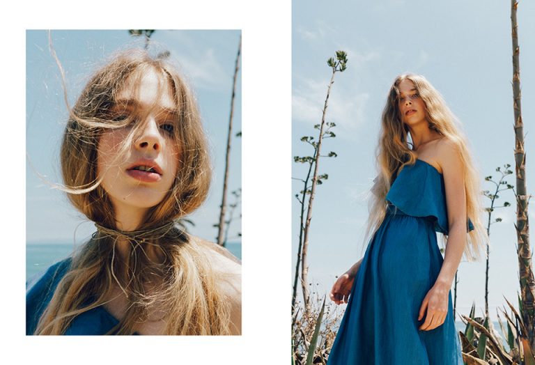 Burying the Sun | cake-mag.com